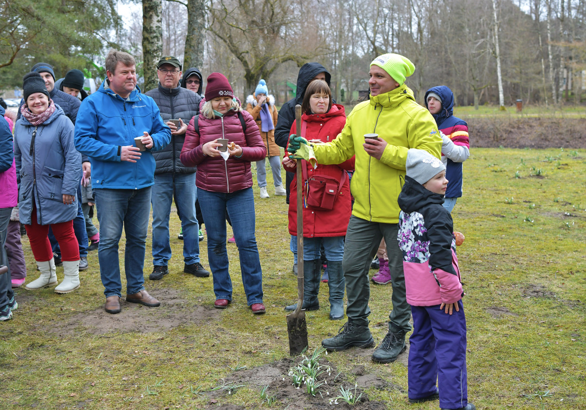 Sniegpulkstenīšu talka | Foto 27 / 27