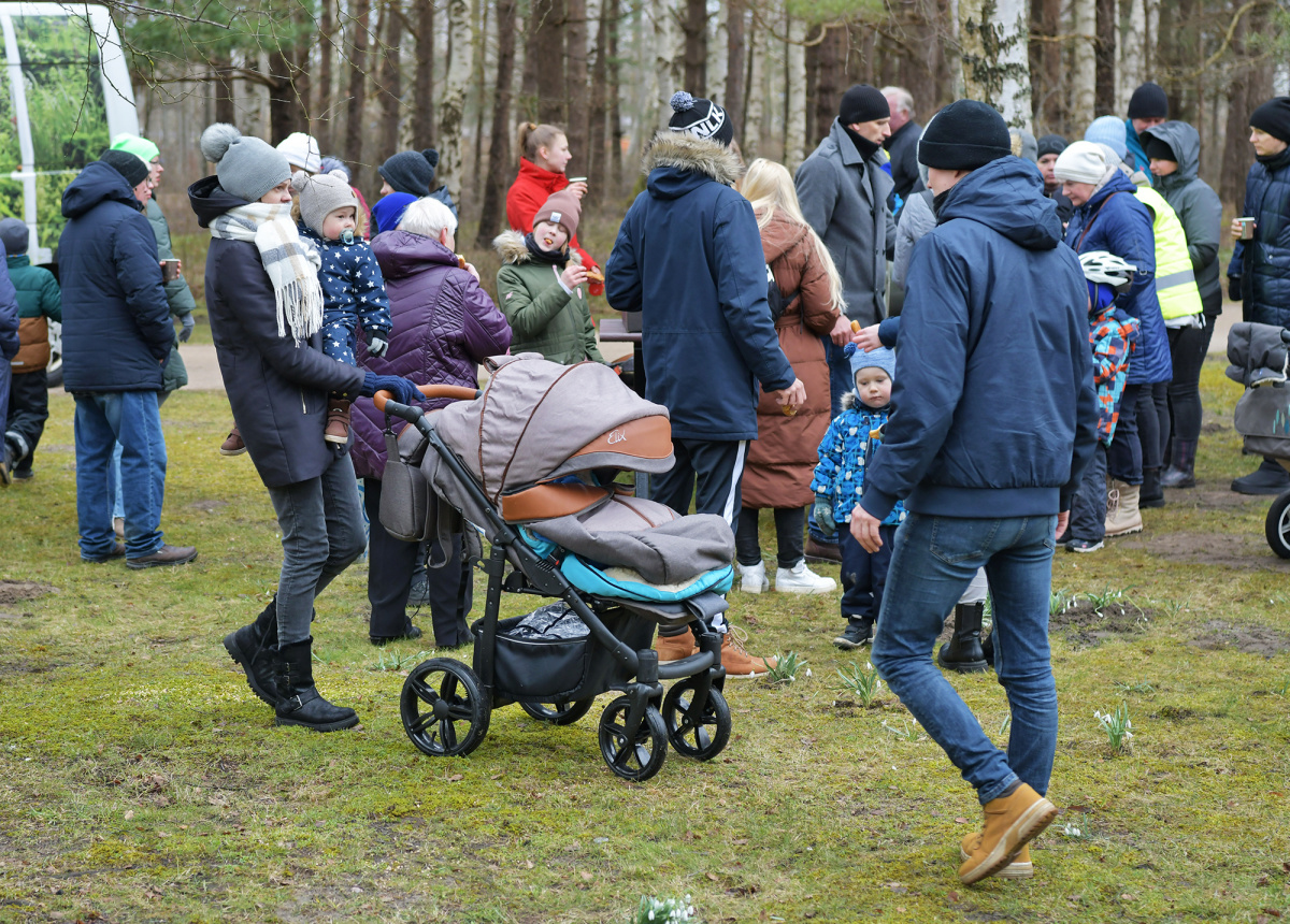 Sniegpulkstenīšu talka | Foto 21 / 27