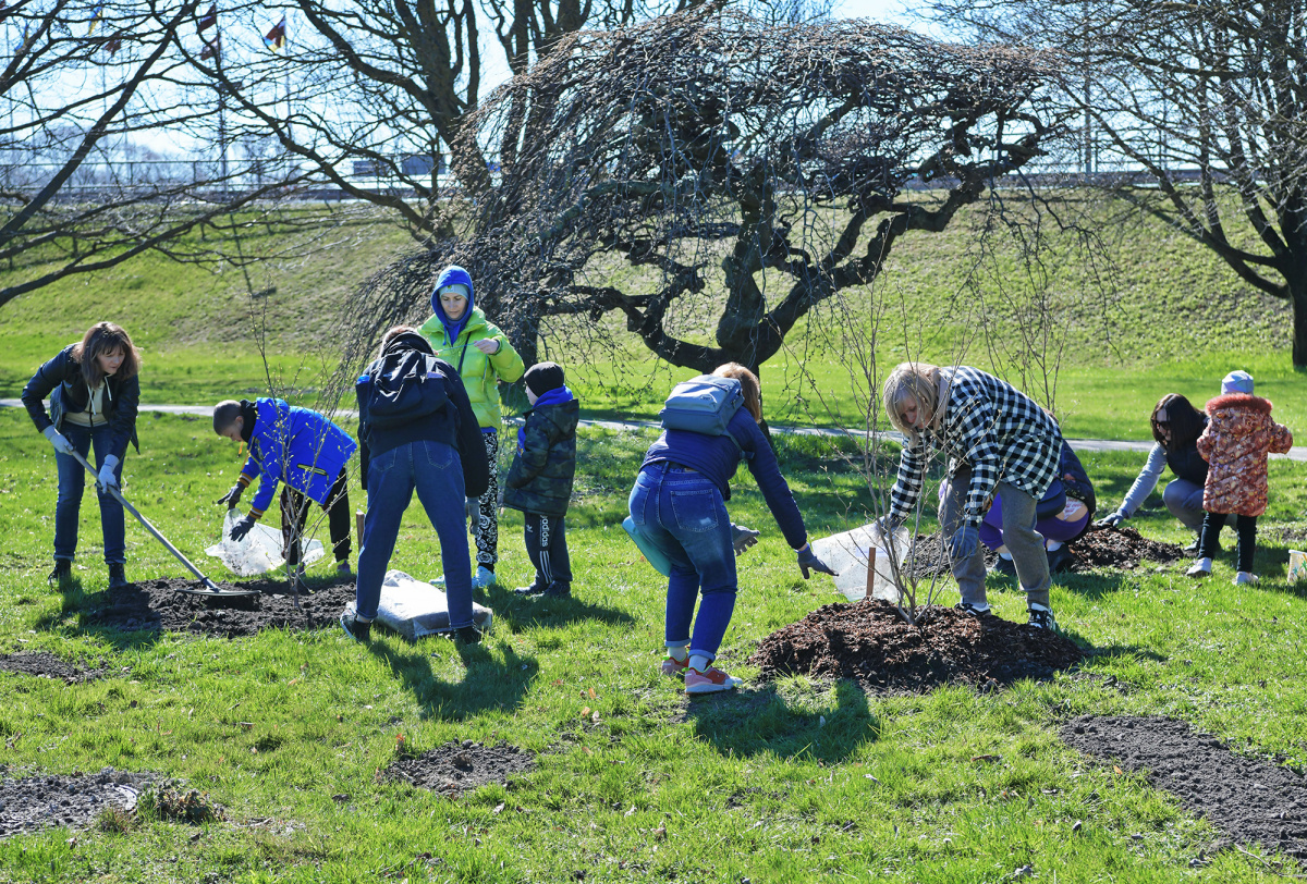 Koku stādīšanas talka | Foto 18 / 35