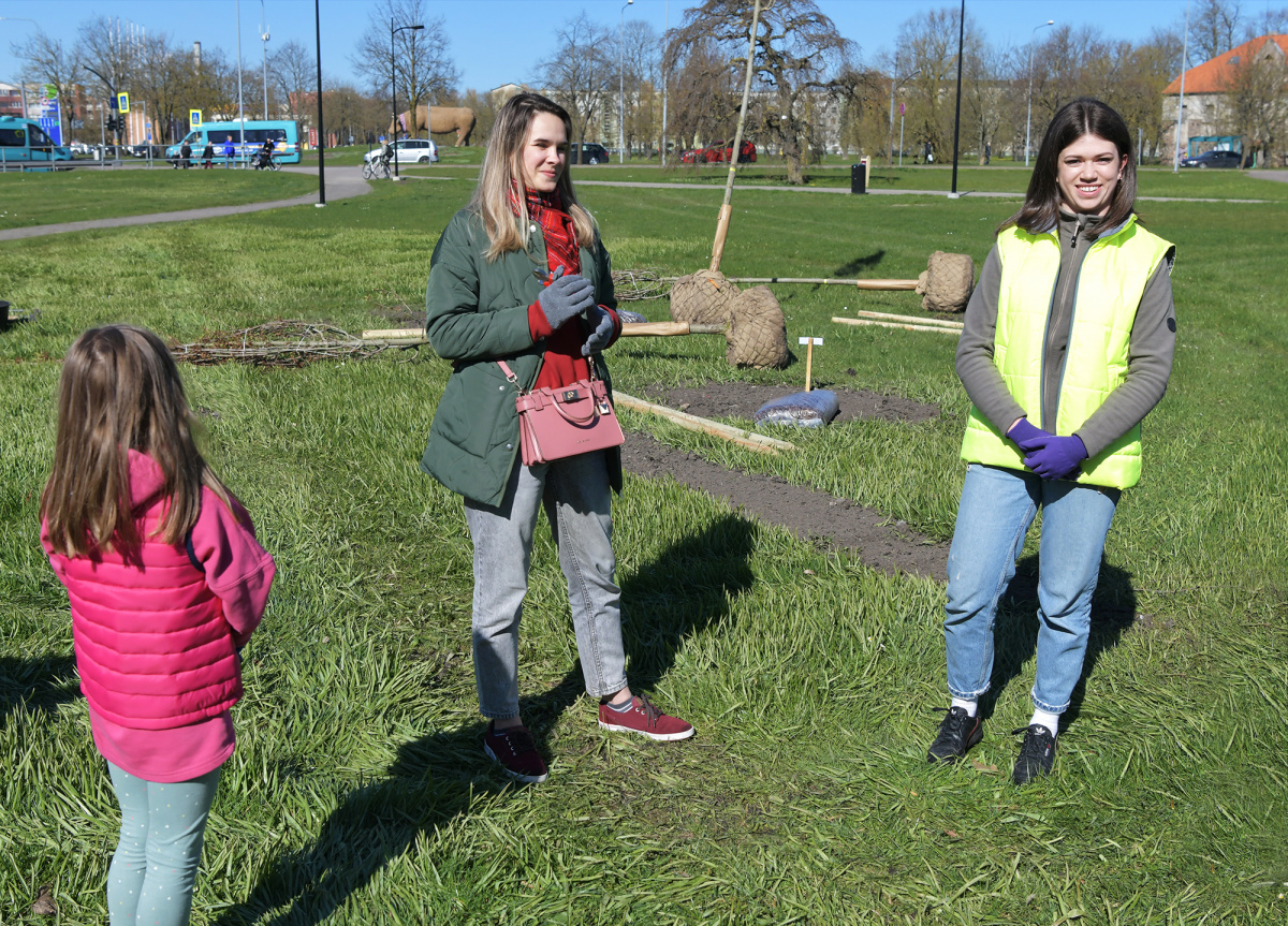 Koku stādīšanas talka | Foto 4 / 35